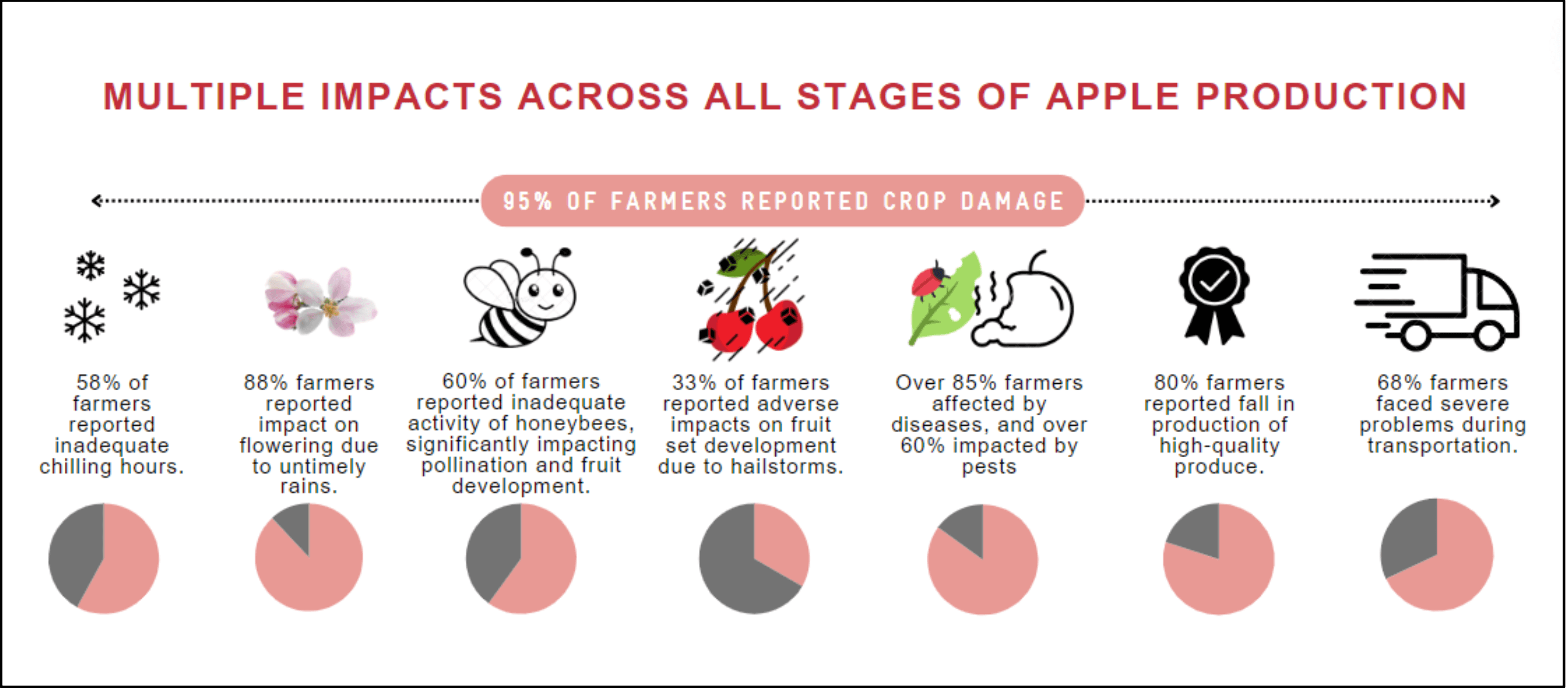 Climate Resilience in the Apple Value Chain - Food4Transformation