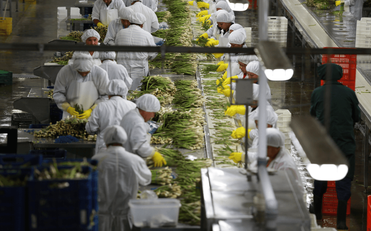 Stronger International Cooperation for safe food in supermarkets ...